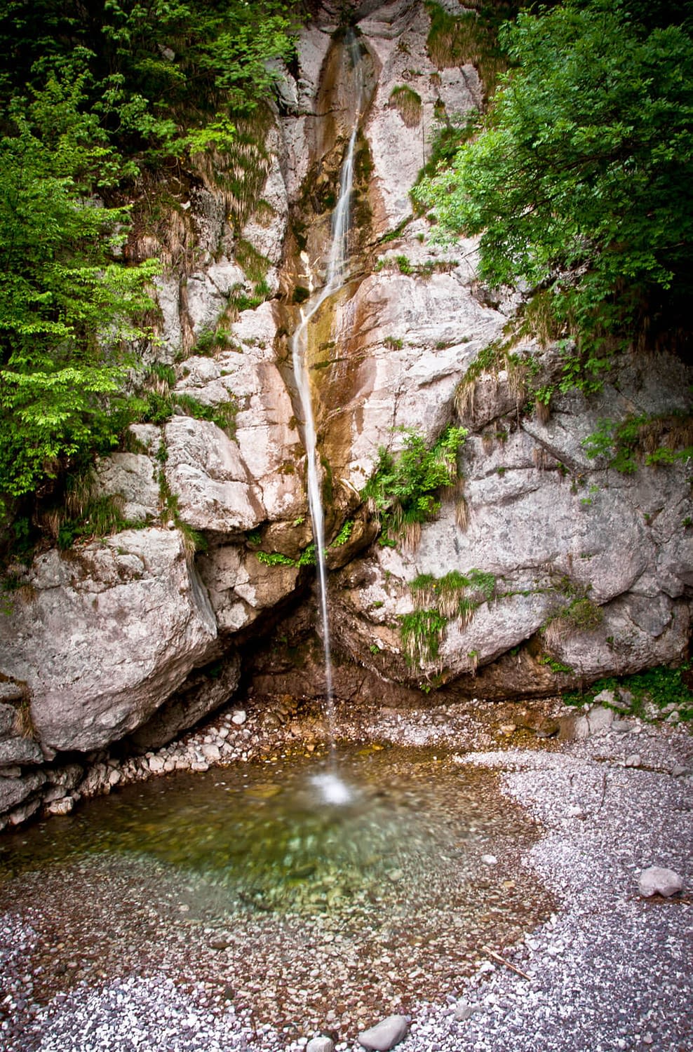 Narava – Drežnica